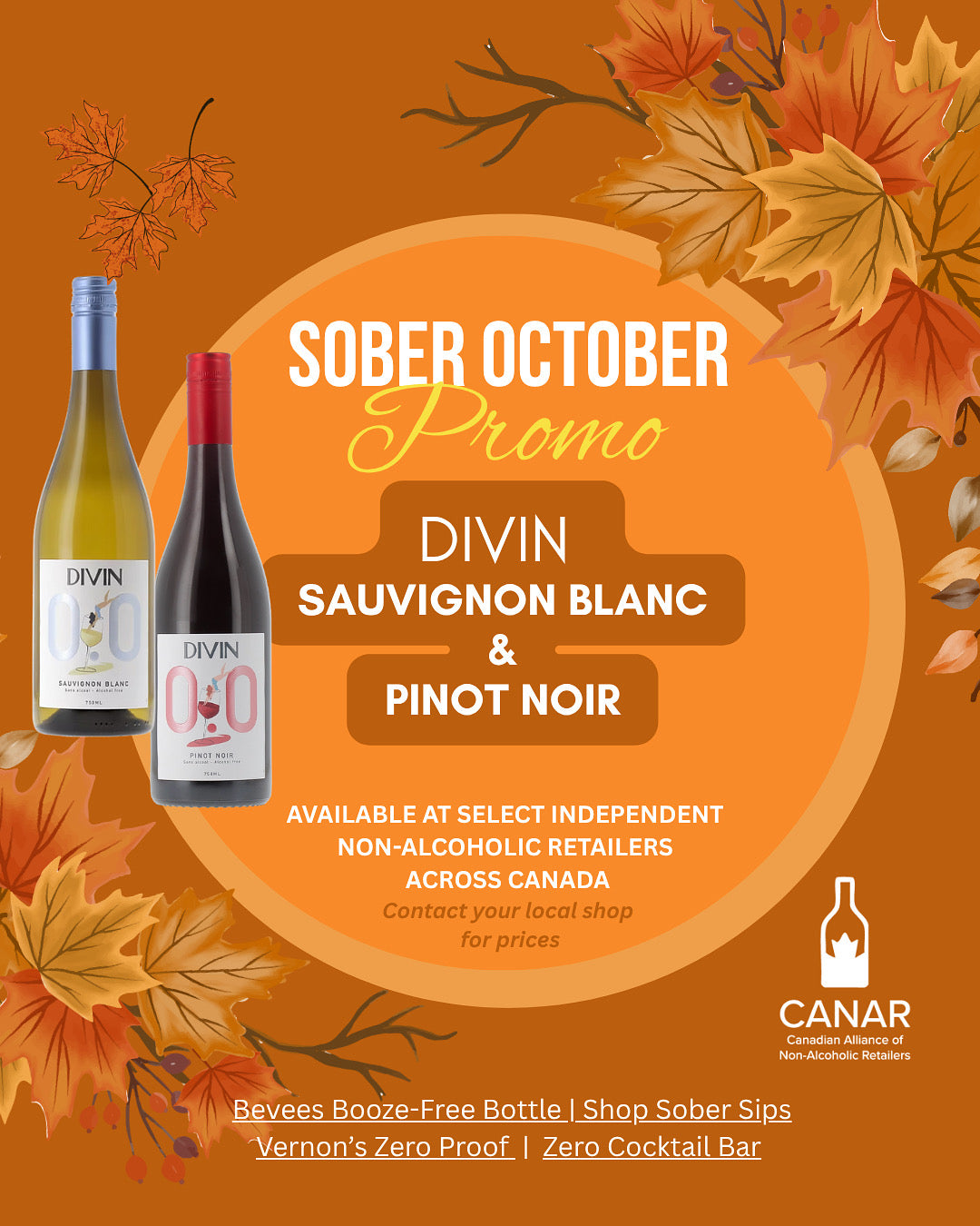 Sober Sips: Premium Non-Alcoholic Beverages for Every Occasion