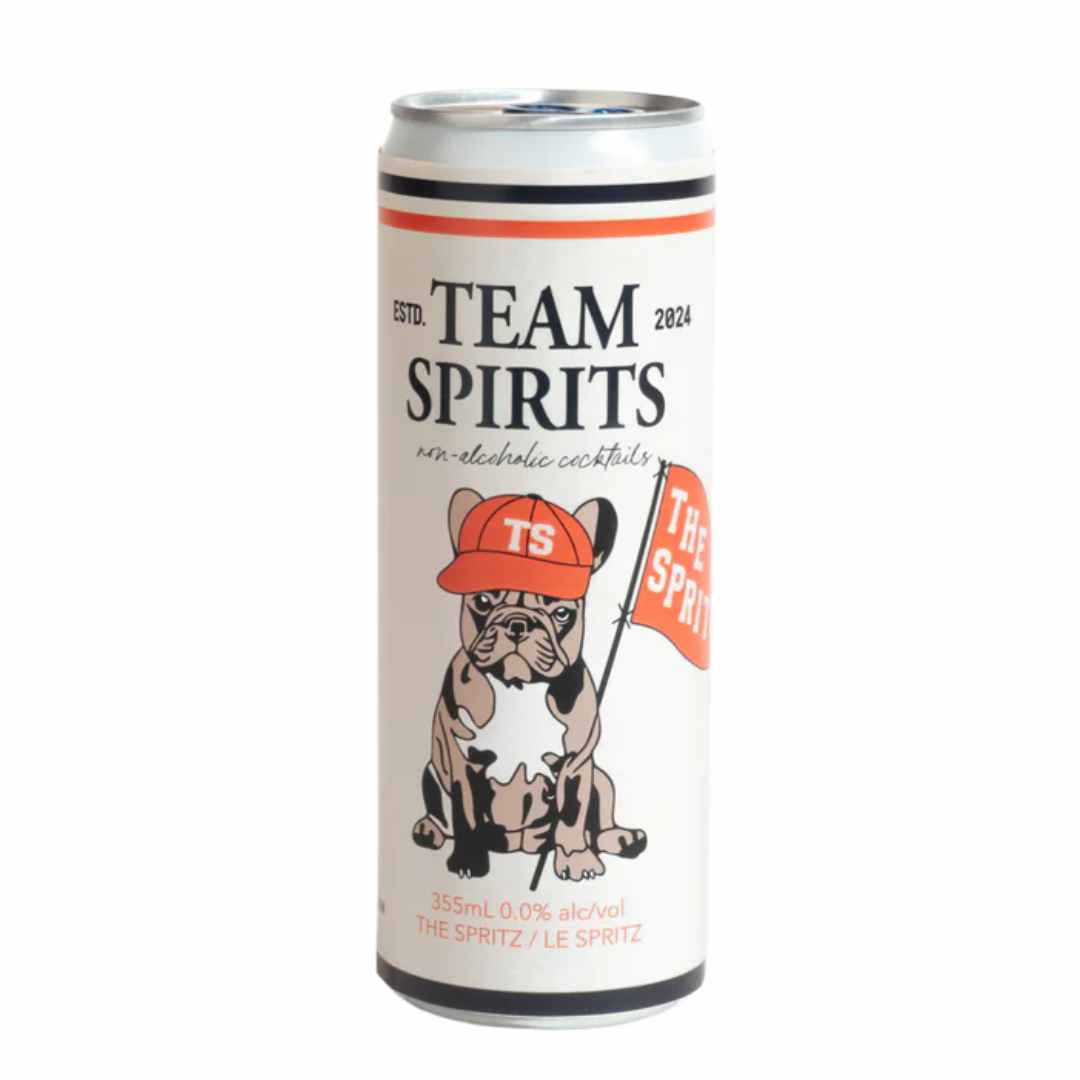 Team Spirits The Spritz Non-Alcoholic Aperol Spritz – Sober Sips